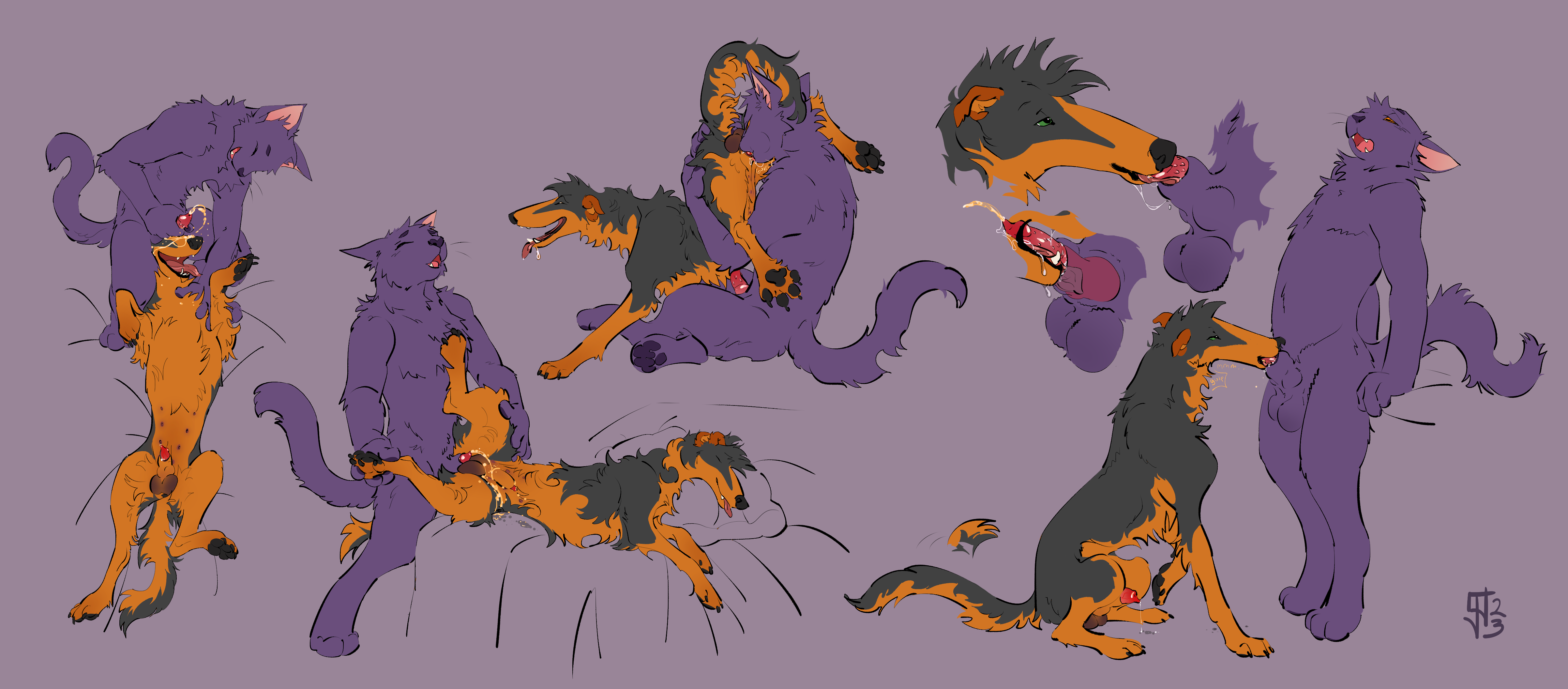 Rule 34 - absurd res animal genitalia animal penis anthro anthro on feral anthro penetrated ...